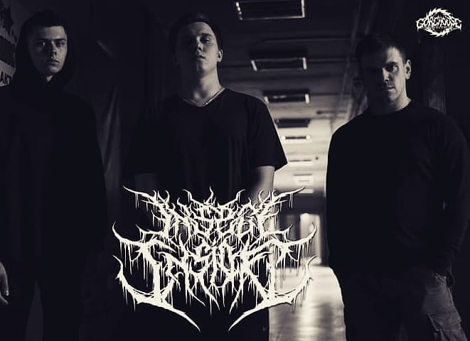 Insect Inside: a febbraio 'The First Shining Of New Genus', l'album di ...